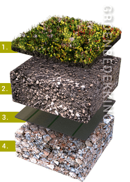 schematische-opbouw-bodembedekking-op-zand-of-puin – Groenbedekking
